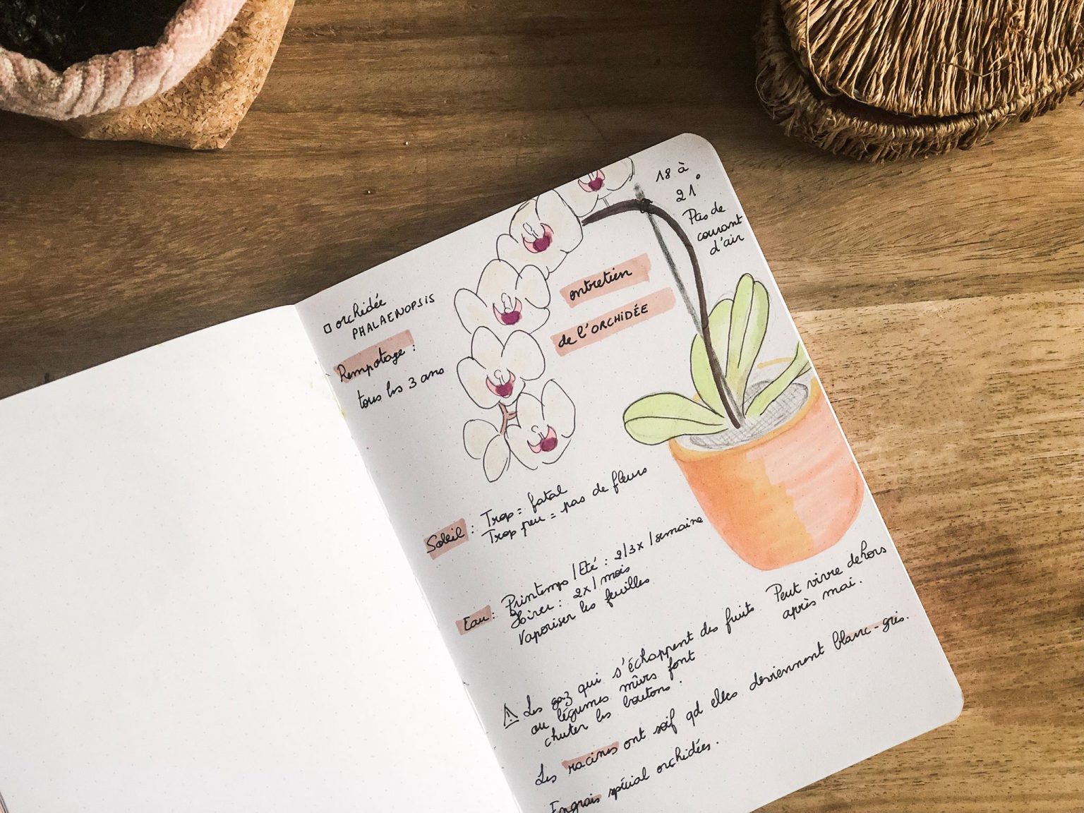 Bullet Journal : inspiration et matériel - Imparfaites